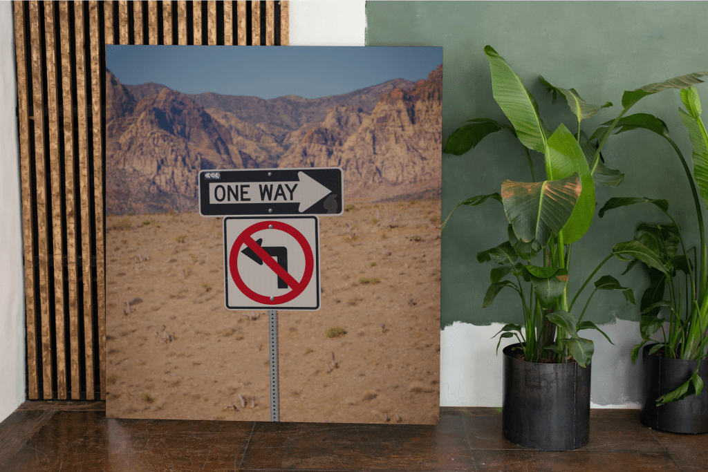 One Way or No Way - Marisa Plotnick Photograpy
